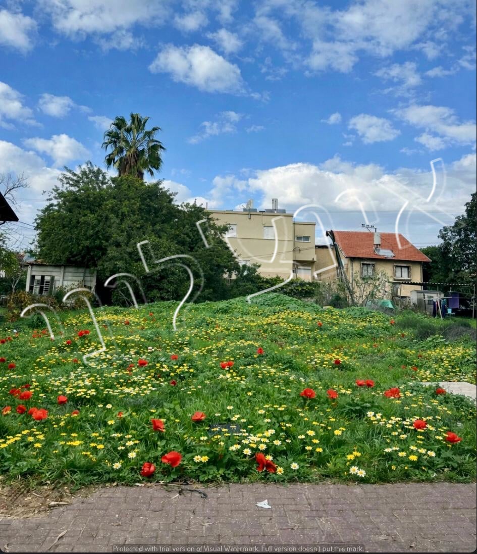 A quarter-dunam internal plot in the best location in Yehud Monosun ...